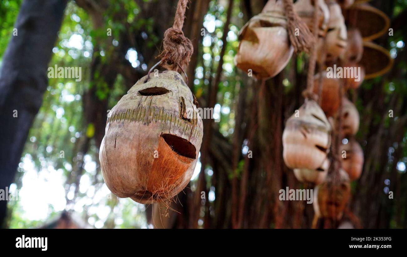 A selective focus of a carved coconut in a human face form hanging from ...