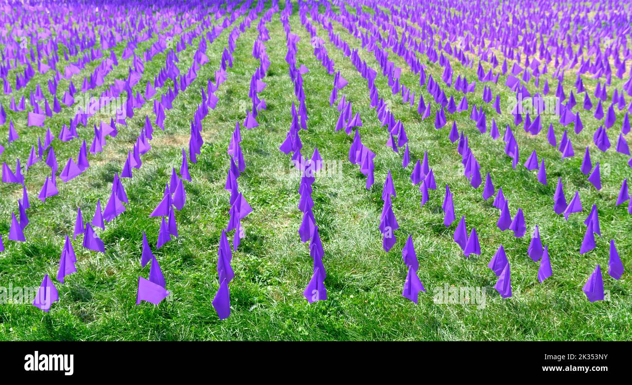 Purple flags hi-res stock photography and images - Alamy