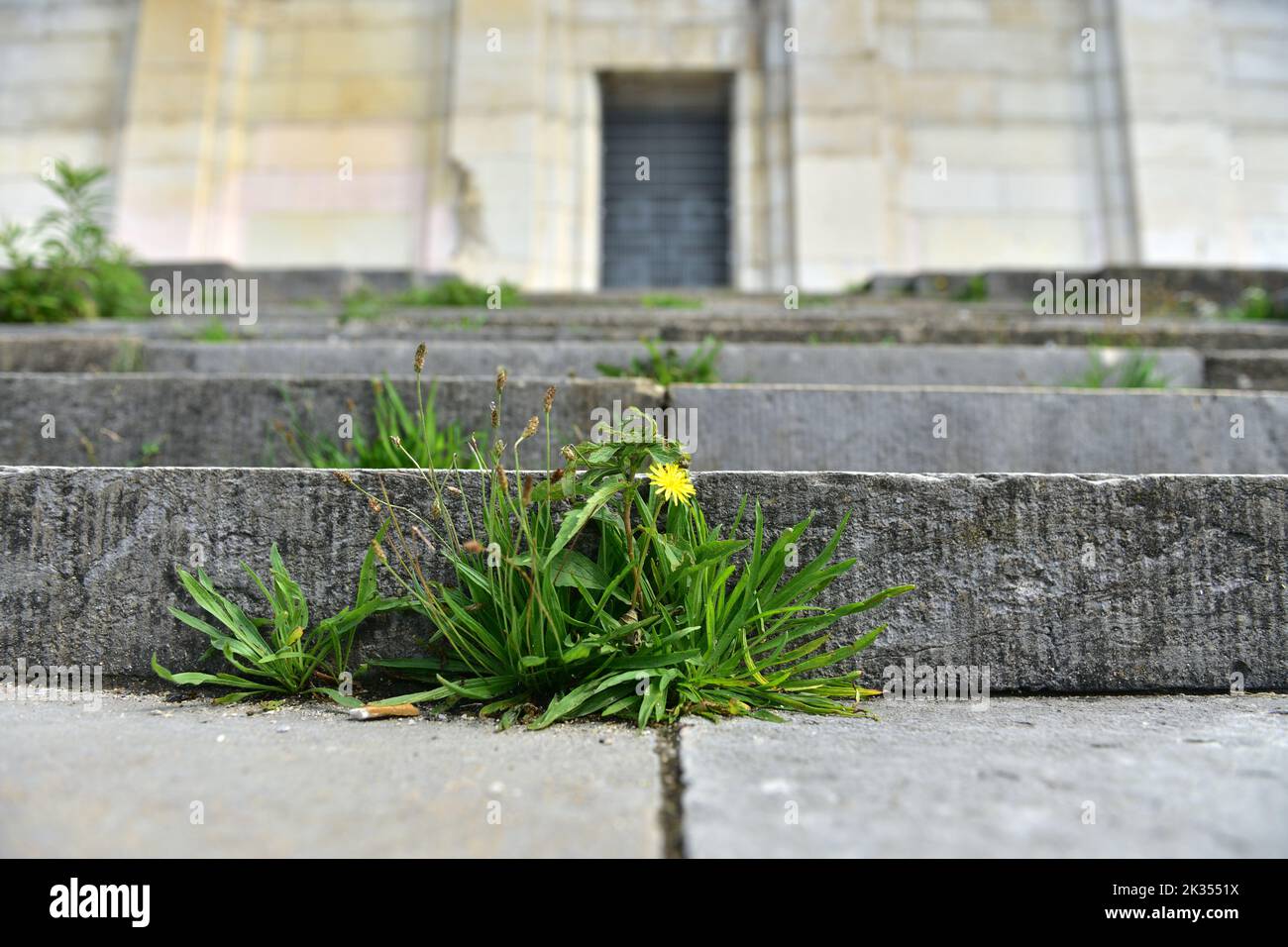 Zeppelin field in the former Nazi Party Rally Grounds in Nuremberg ...