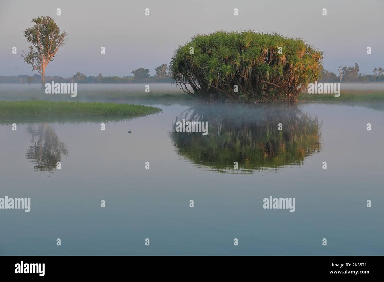 Misty sunrise over Yellow Water-Ngurrungurrudjba Billabong with ...