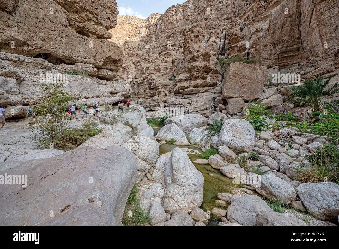 Wadi Shab gorge, Oman Stock Photo - Alamy