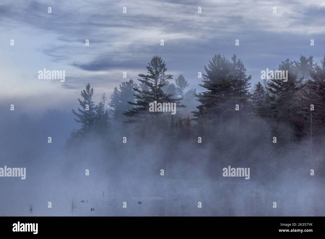 Fog rising on a wilderness lake in Clam Lake, Wisconsin Stock Photo - Alamy