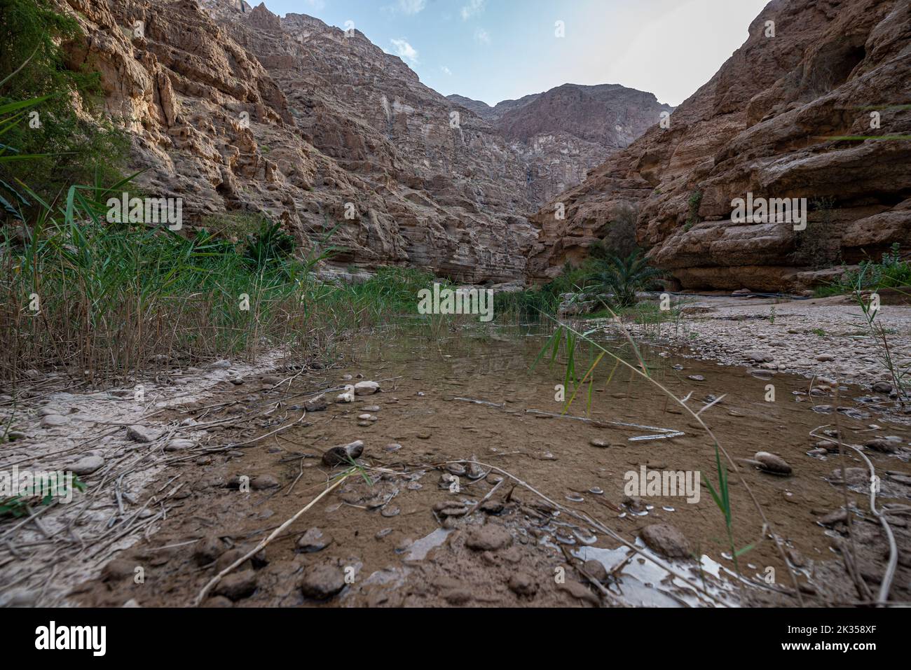 Wadi Shab gorge, Oman Stock Photo - Alamy