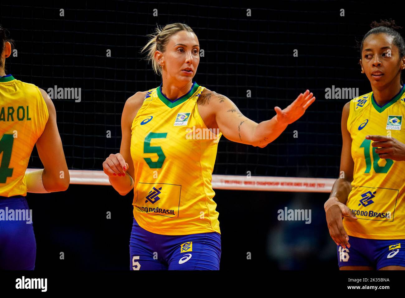 Priscilac zalewski daroit moreira hi-res stock photography and images ...