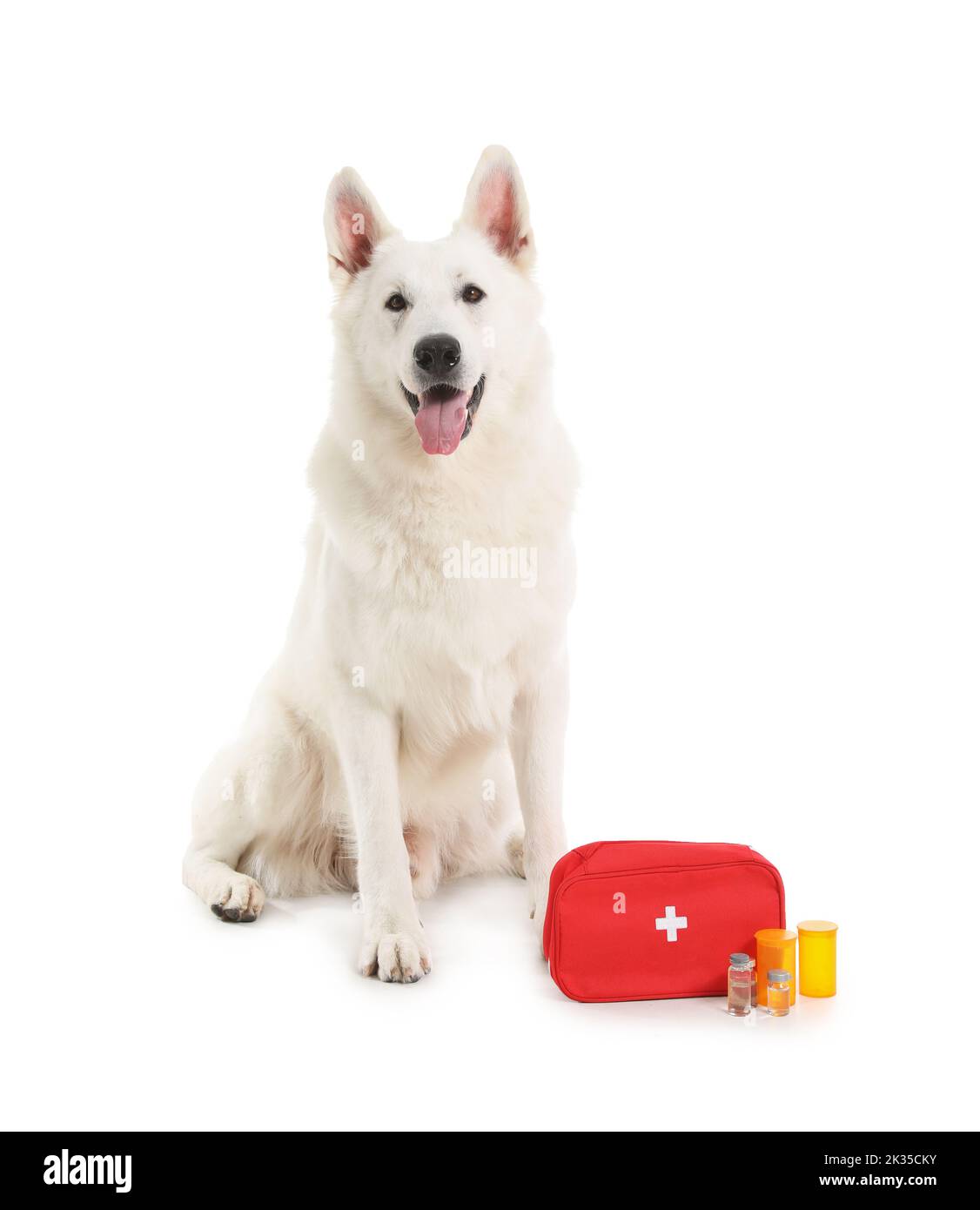 Cute Shepherd dog and first aid kit on white background Stock Photo - Alamy