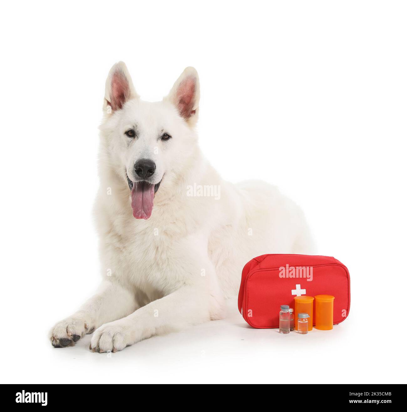 Cute Shepherd dog and first aid kit on white background Stock Photo - Alamy
