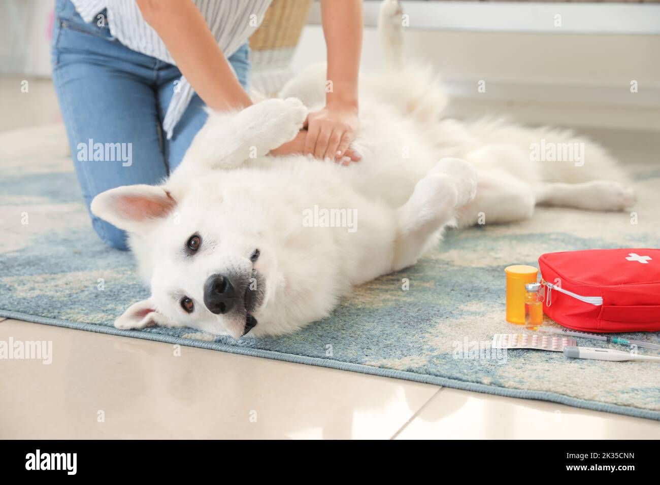First female vet hi-res stock photography and images - Alamy
