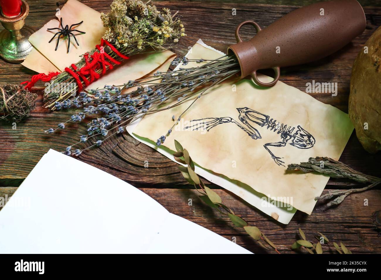 Wizard scroll hi-res stock photography and images - Alamy