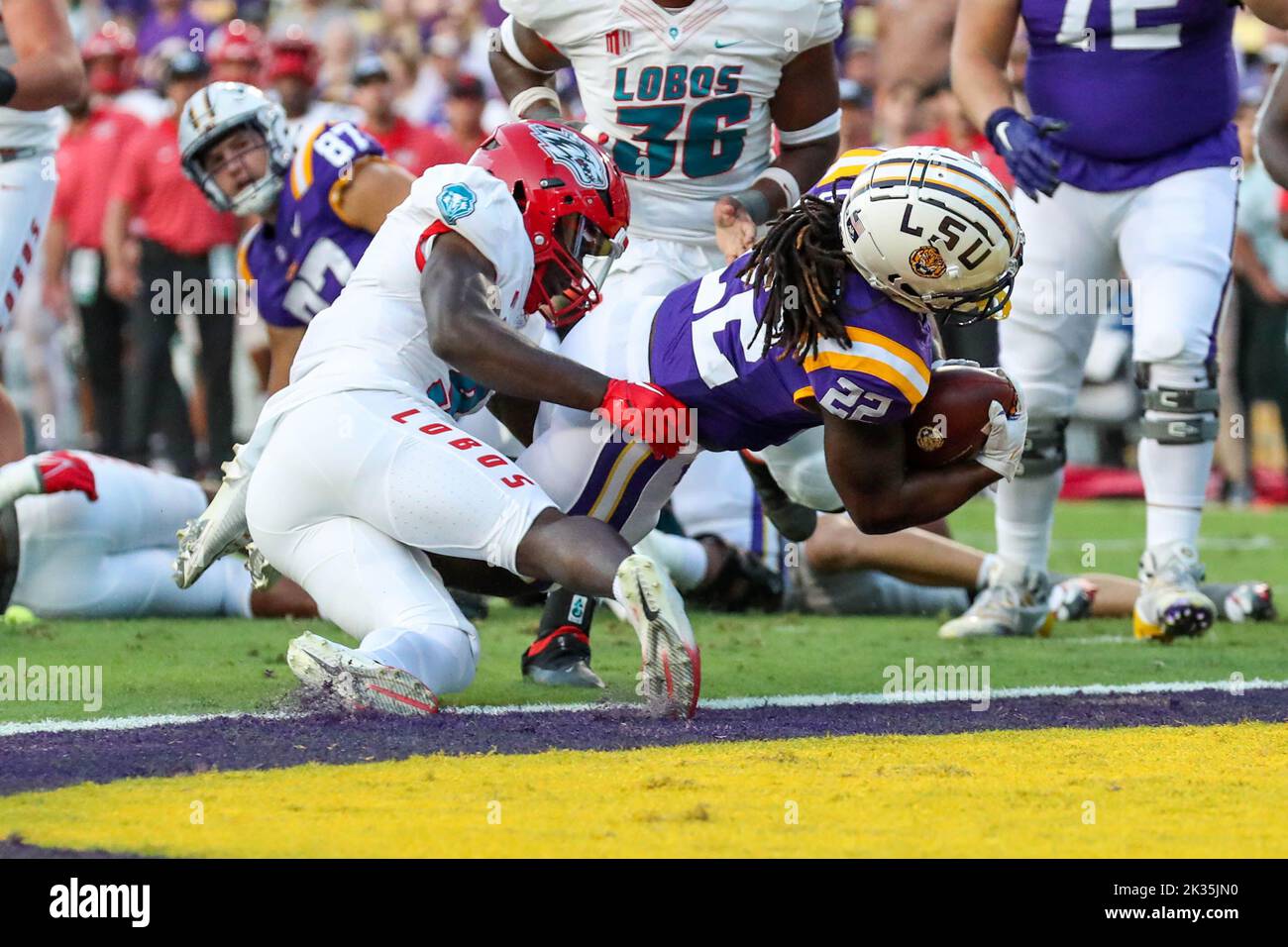 Jonathan goodwin hi-res stock photography and images - Alamy