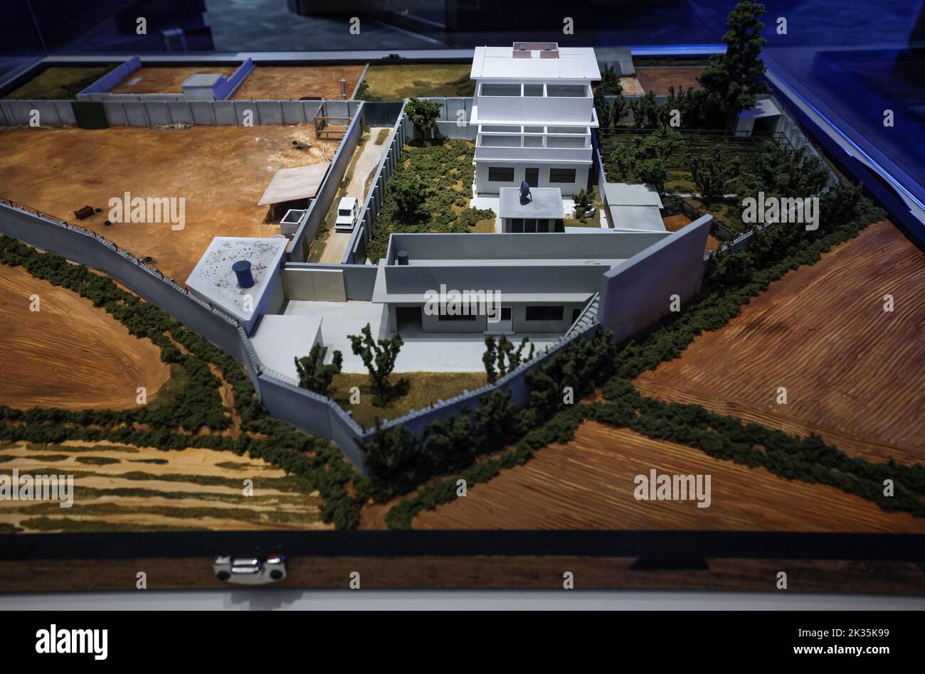 Seals on display hi-res stock photography and images - Alamy