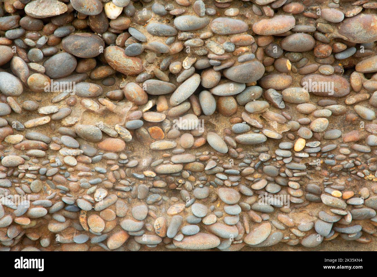 Cobbles in beach cliff at Beach 4 at Kalaloch, Olympic National Park ...