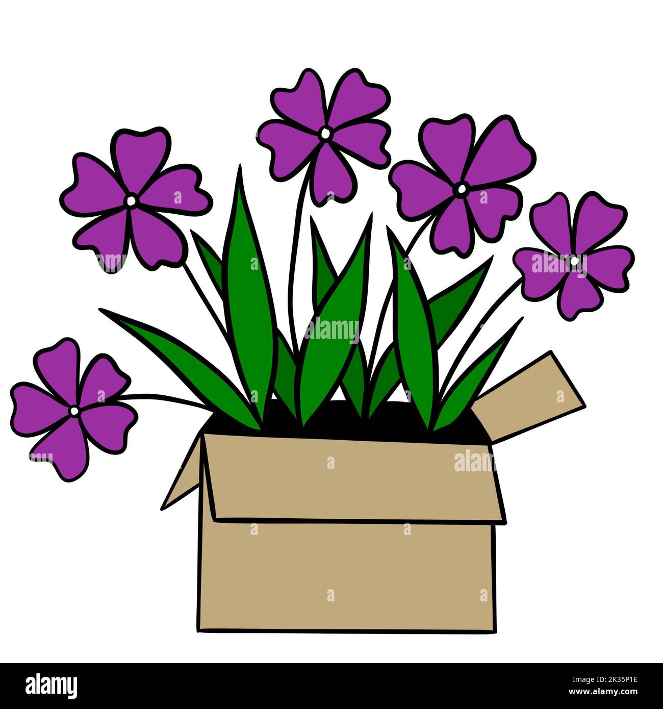 Flowers growing box Cut Out Stock Images & Pictures - Alamy
