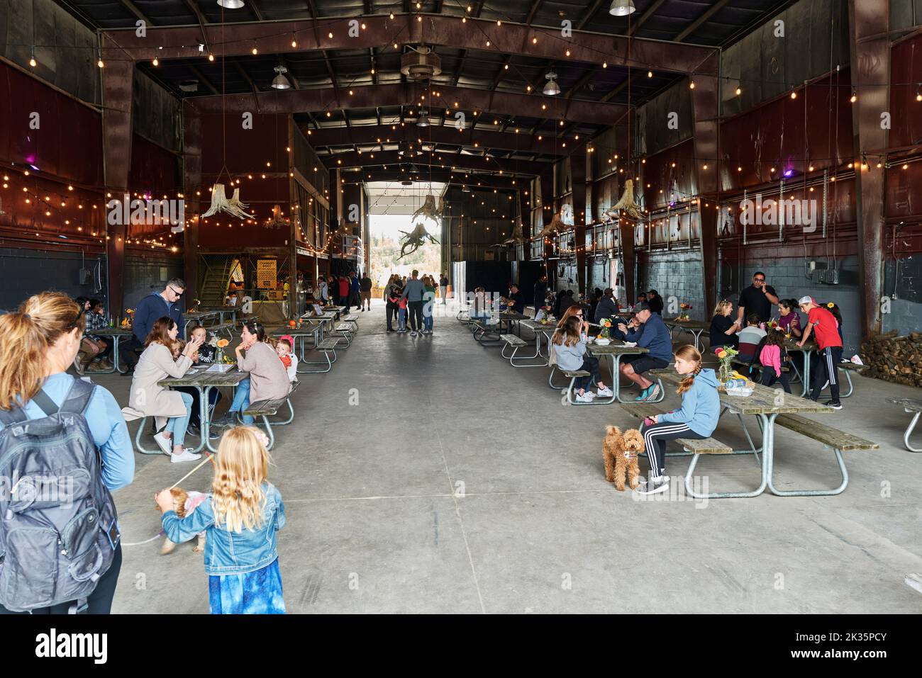 Craft beer festival Stock Photo - Alamy