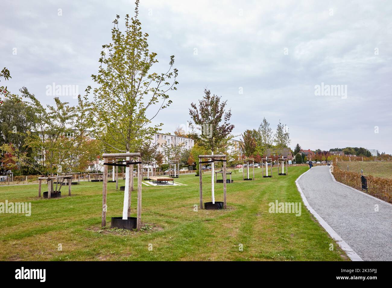 Dorothea buck hi-res stock photography and images - Alamy