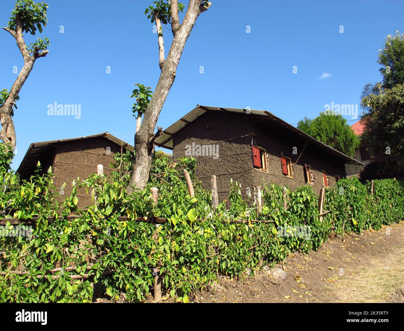The Orthodox monastery in the heart of Africa in Ethiopia Stock Photo ...