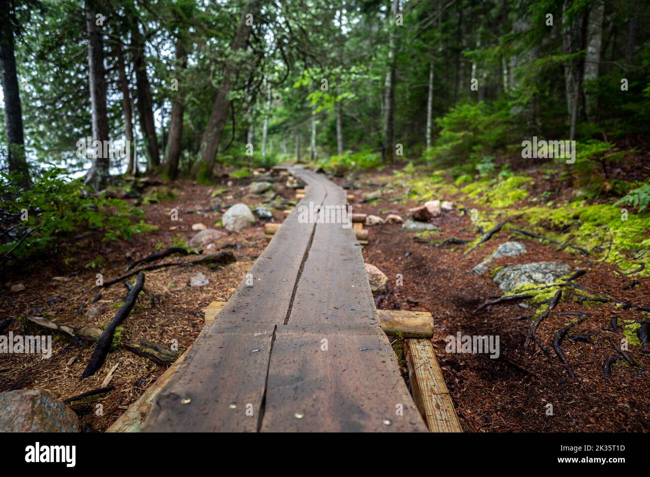 Elevated boardwalk path along western edge of Jordan Pond in Acadia ...