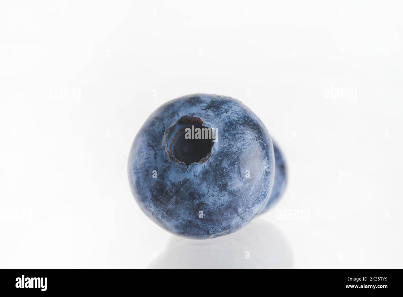 One berry of ripe juicy blueberry isolated on white background. Close ...