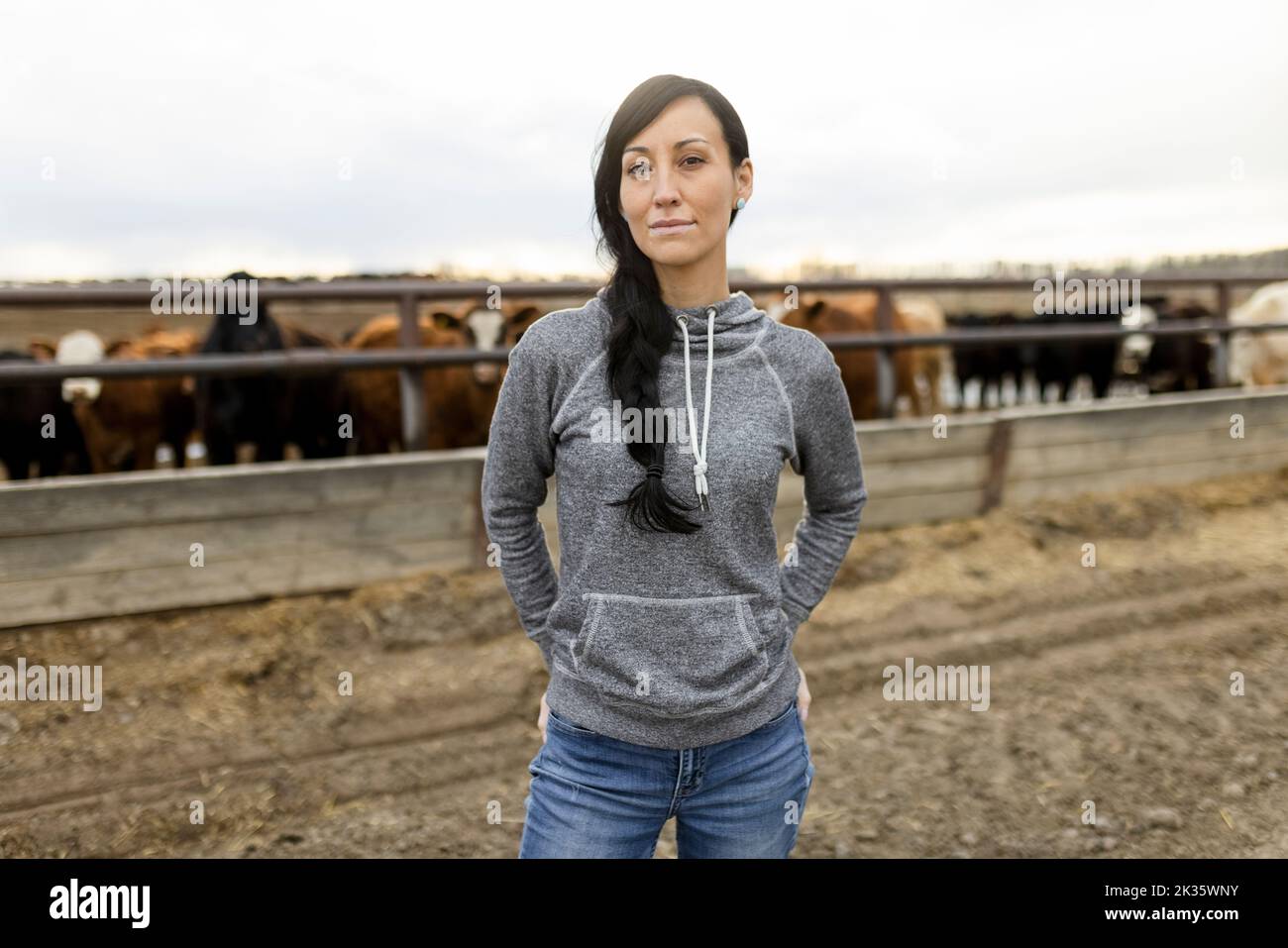 Portrait cattle hi-res stock photography and images - Alamy