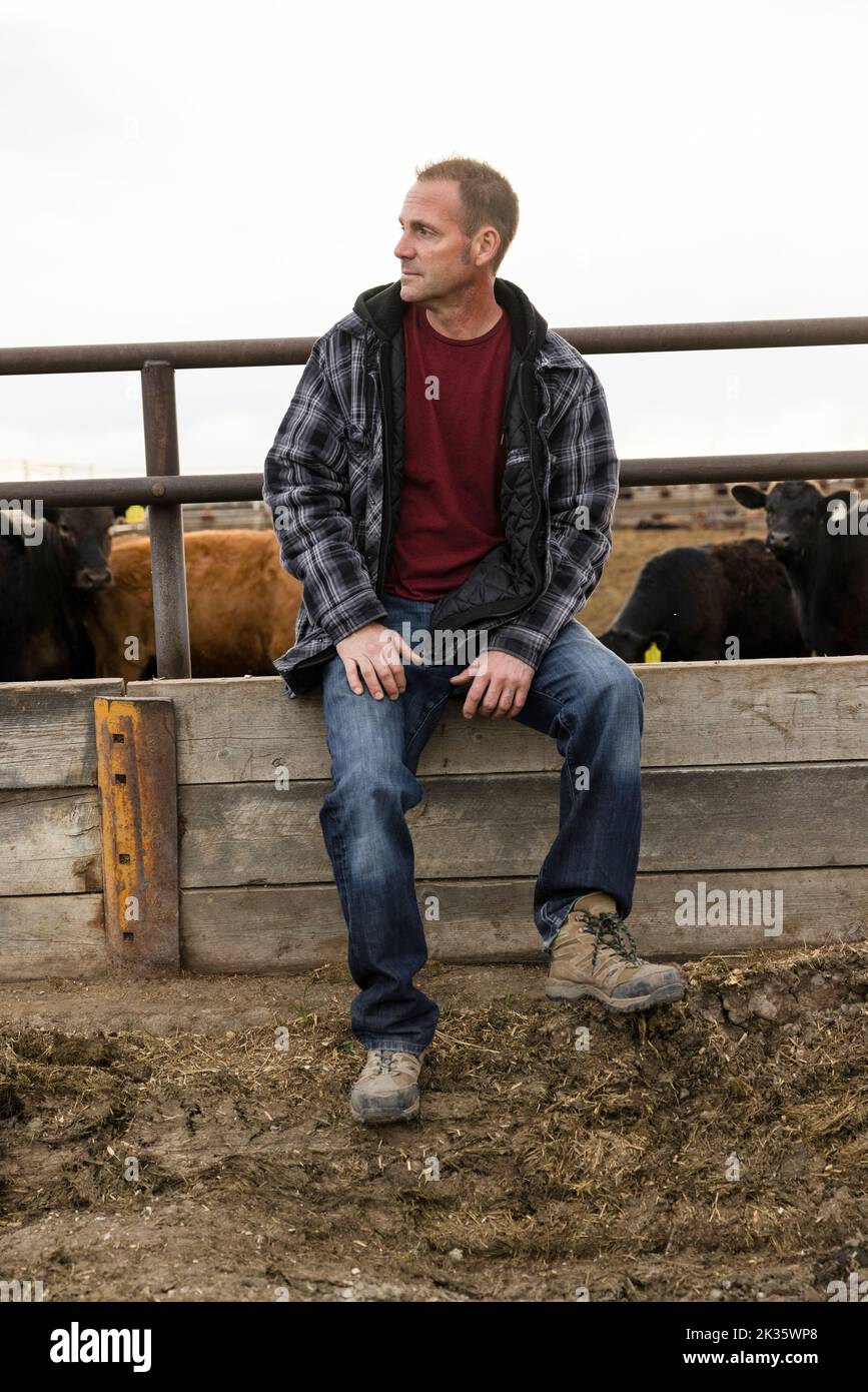 Cattle farmer a hi-res stock photography and images - Alamy