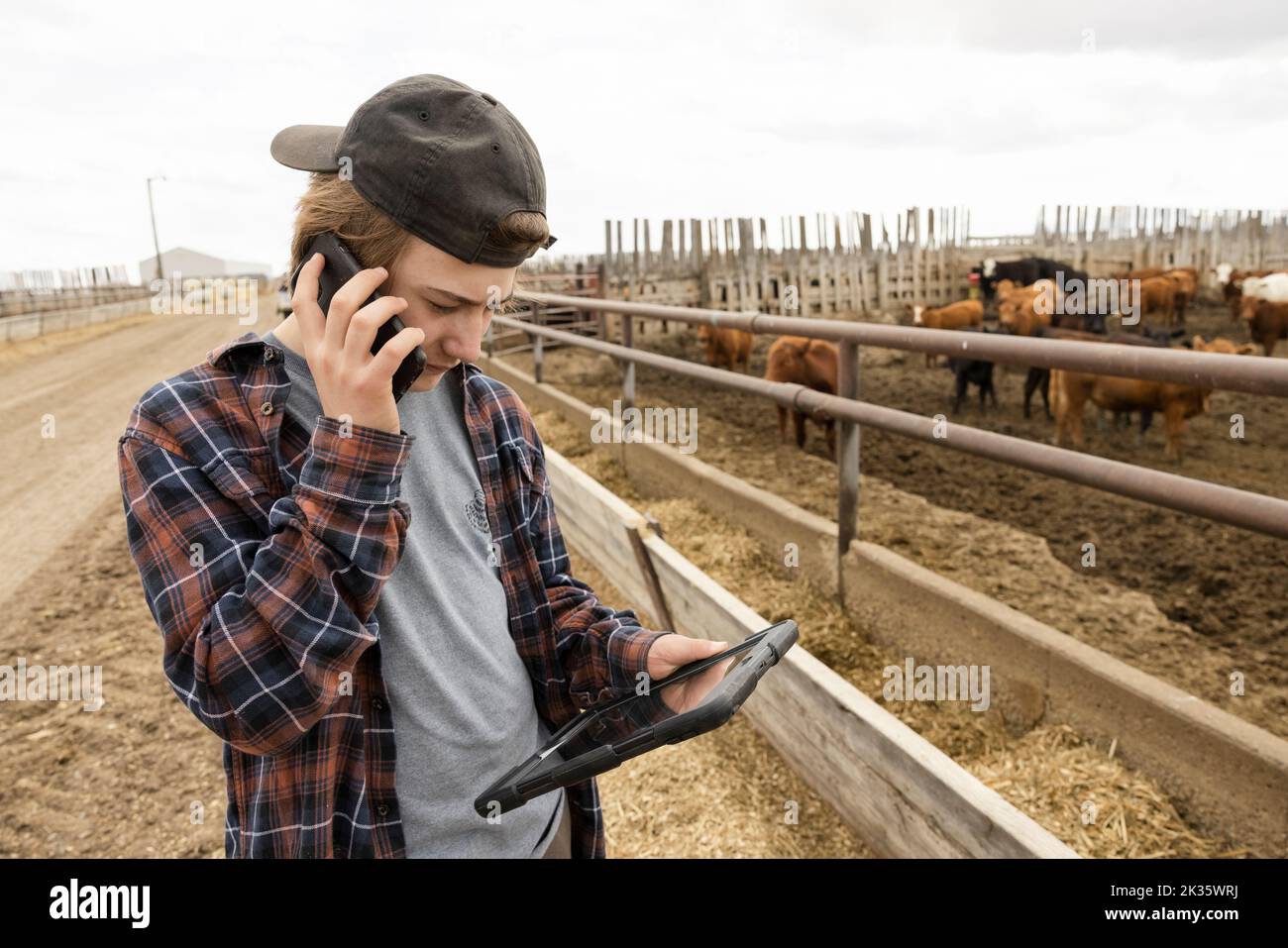 Teen boy on ranch hi-res stock photography and images - Alamy