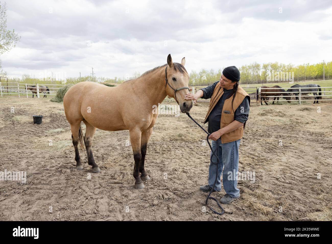Male on horse hi-res stock photography and images - Alamy