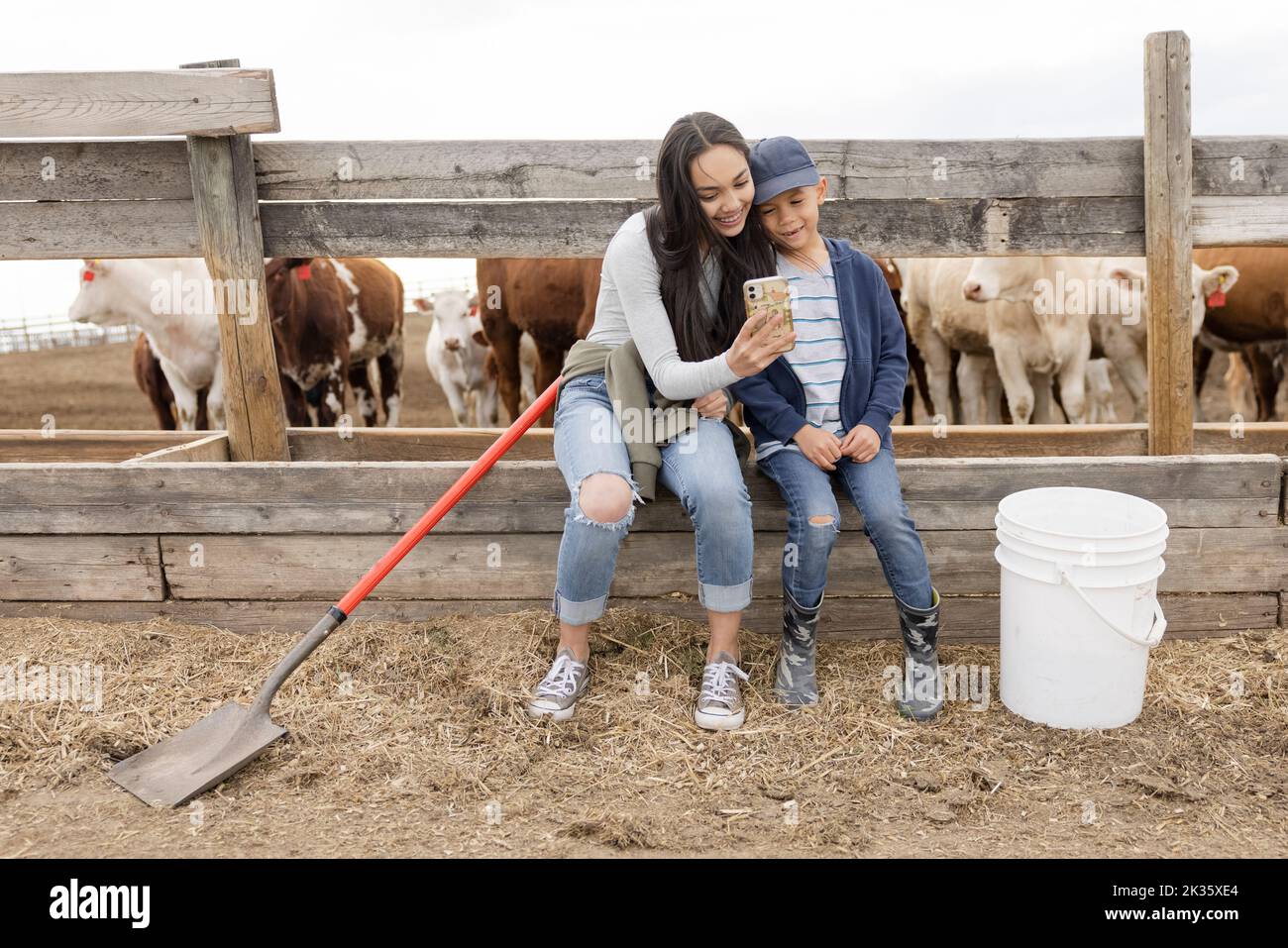 Corral for cattle hi-res stock photography and images - Alamy