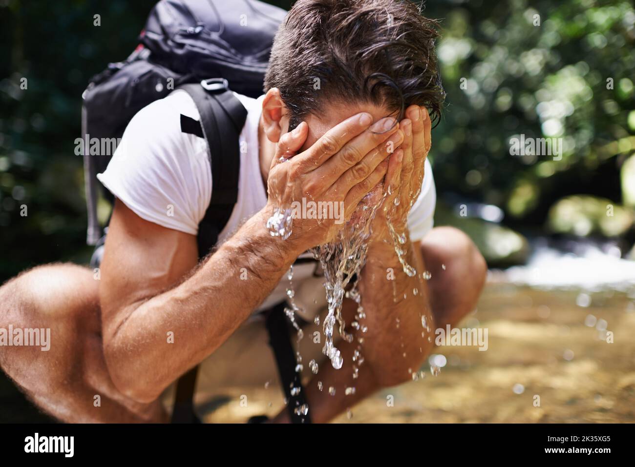 Water splashing on the tree hi-res stock photography and images - Alamy