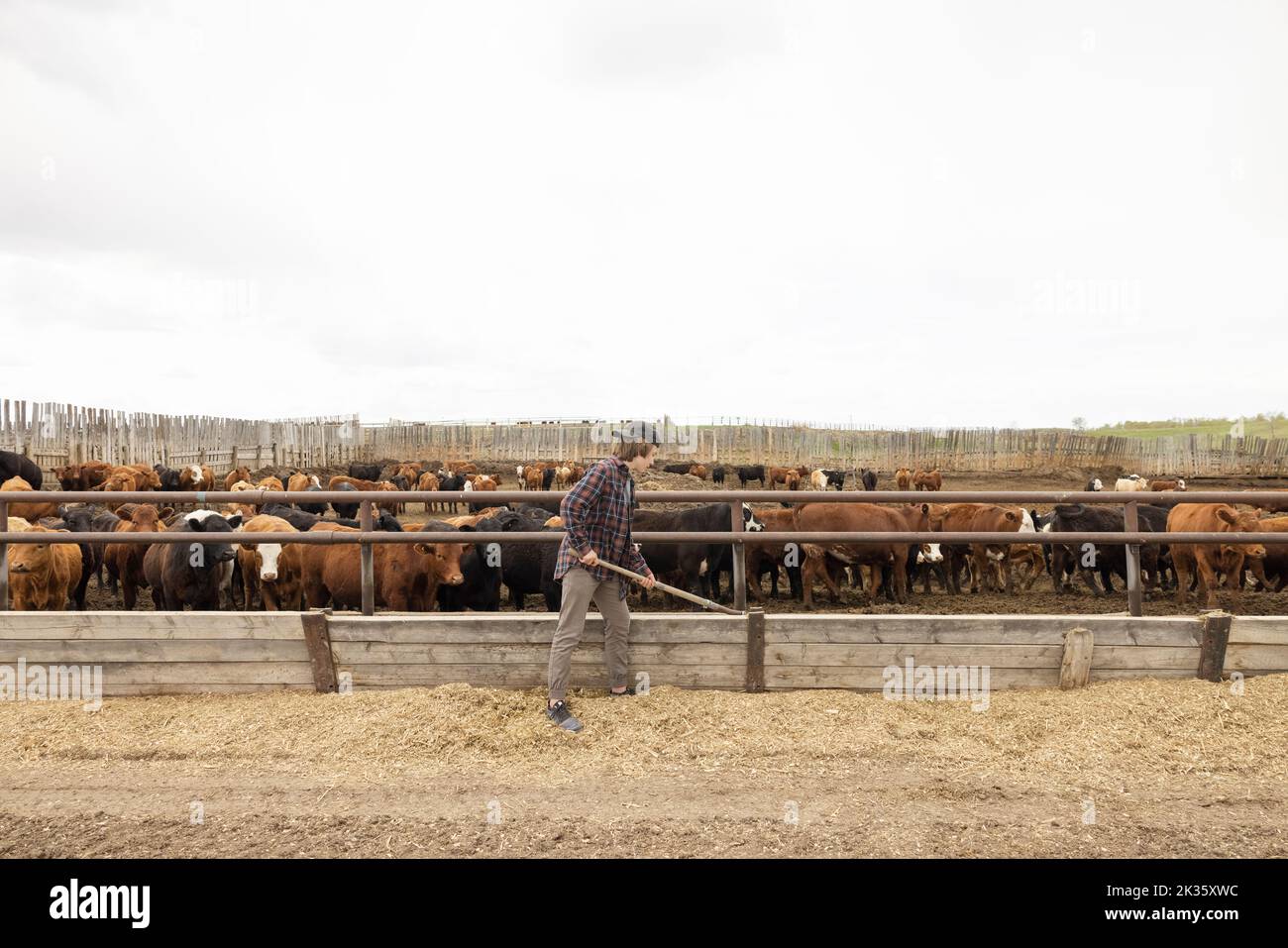 Teen boy ranch hi-res stock photography and images - Alamy