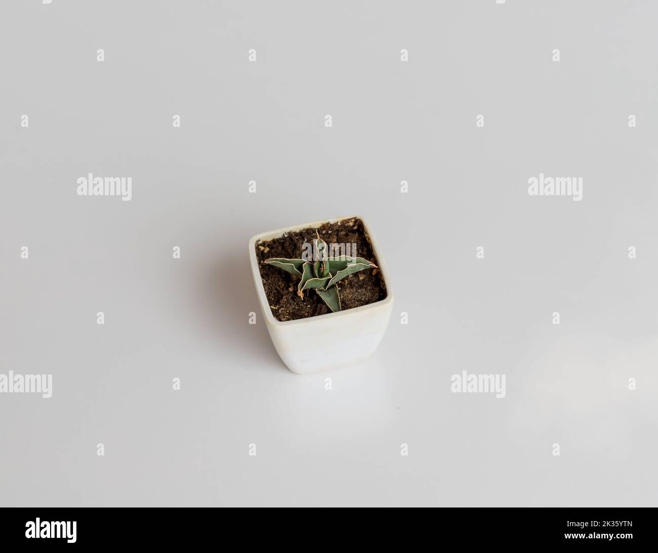 Closeup view mother baby hi-res stock photography and images - Alamy