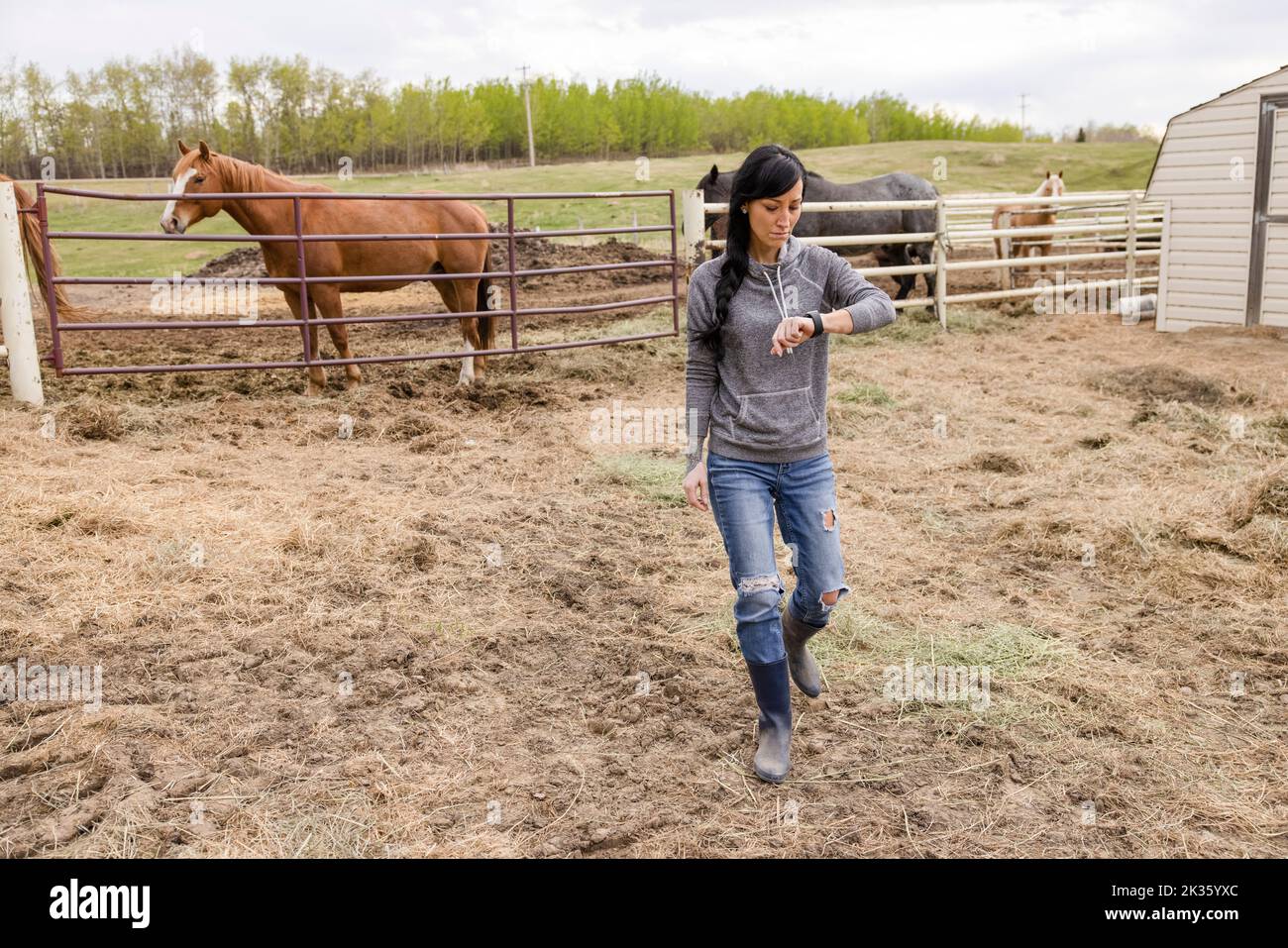 Farm checking hi-res stock photography and images - Alamy