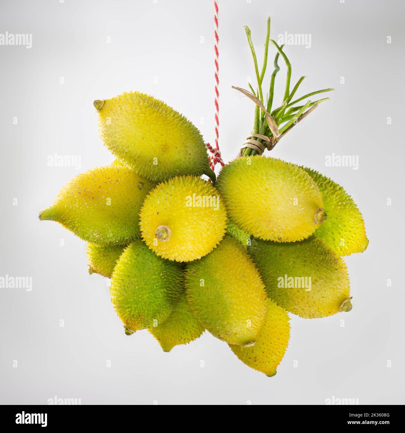 Karkotaki hi-res stock photography and images - Alamy