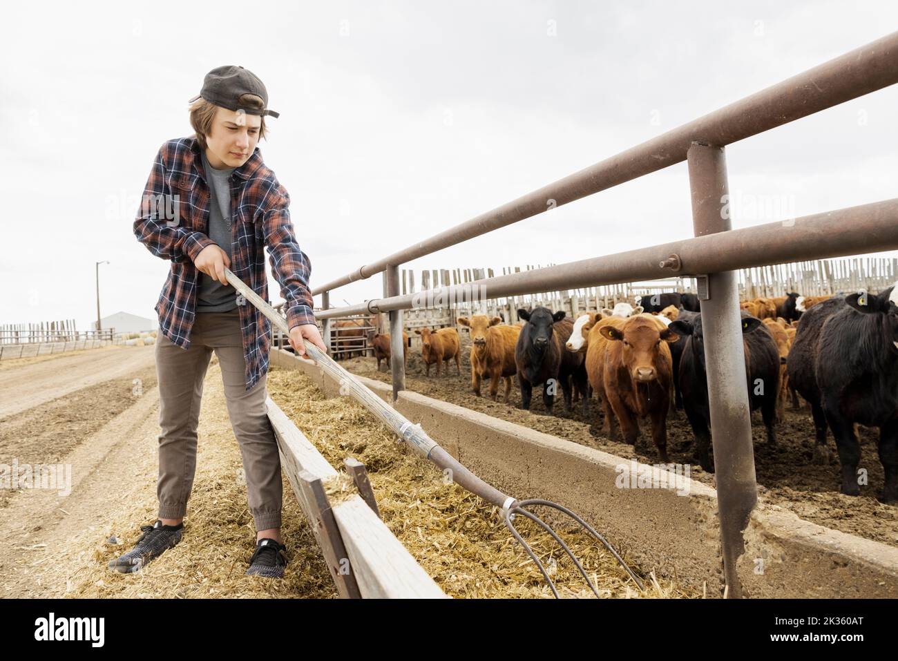Teen boy on ranch hi-res stock photography and images - Alamy