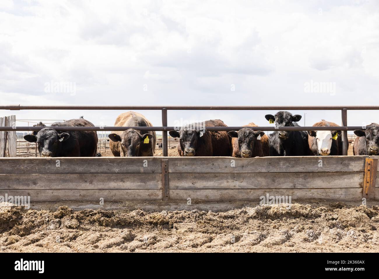 Row fence hi-res stock photography and images - Alamy