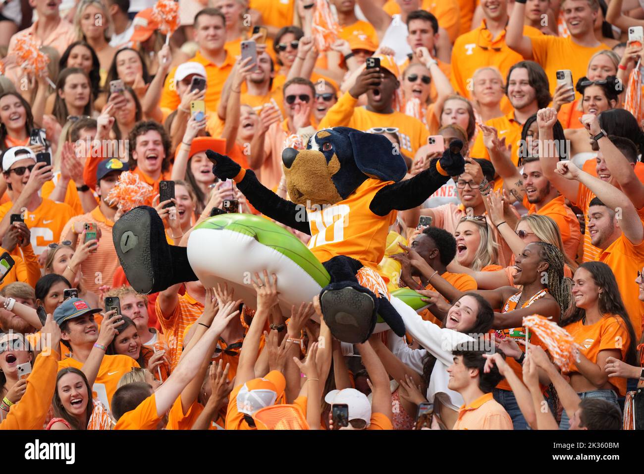 September 24, 2022: Tennessee Volunteers mascot Smokey surfs the crowd ...
