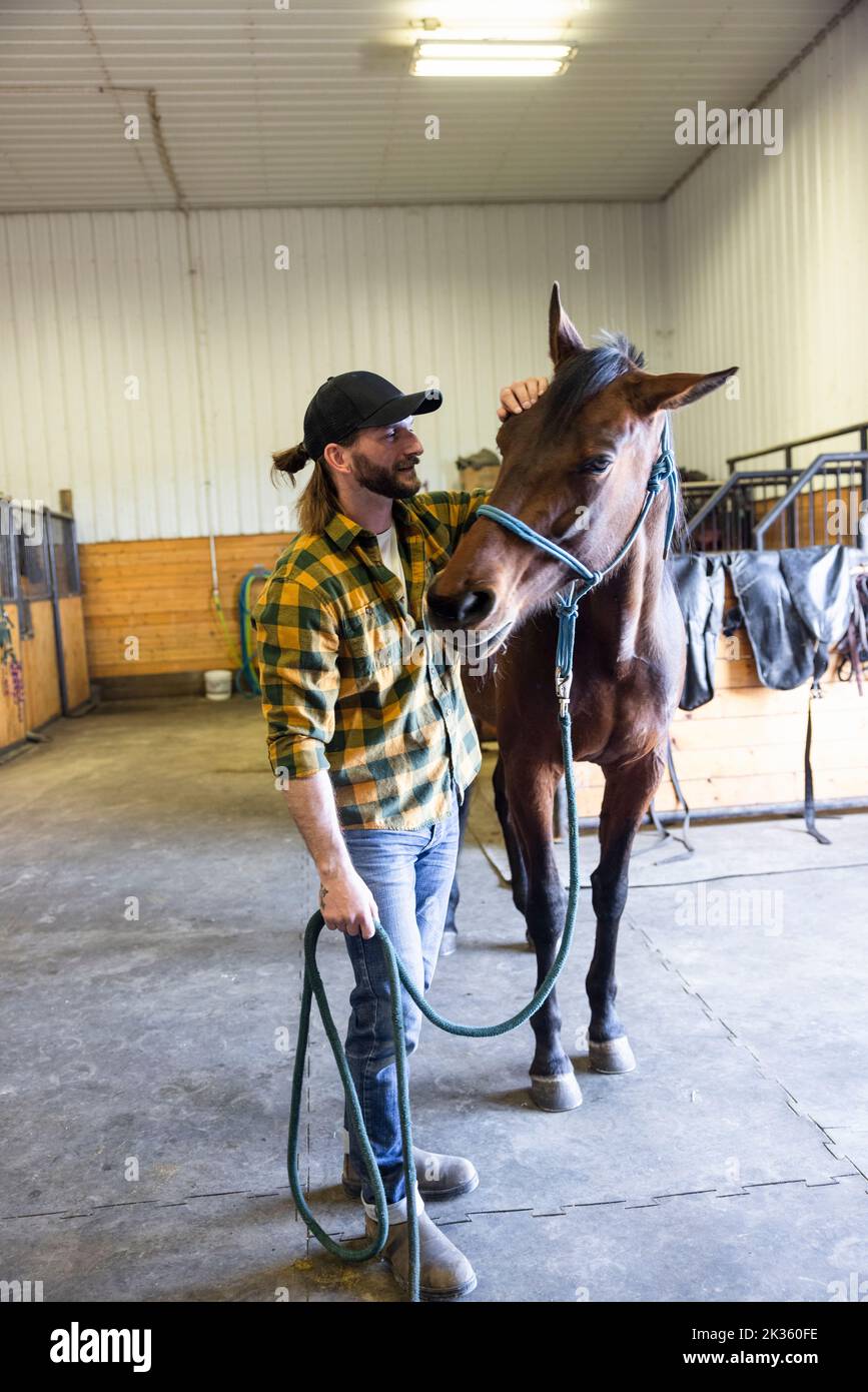 Male farmer with horse in barn Stock Photo - Alamy