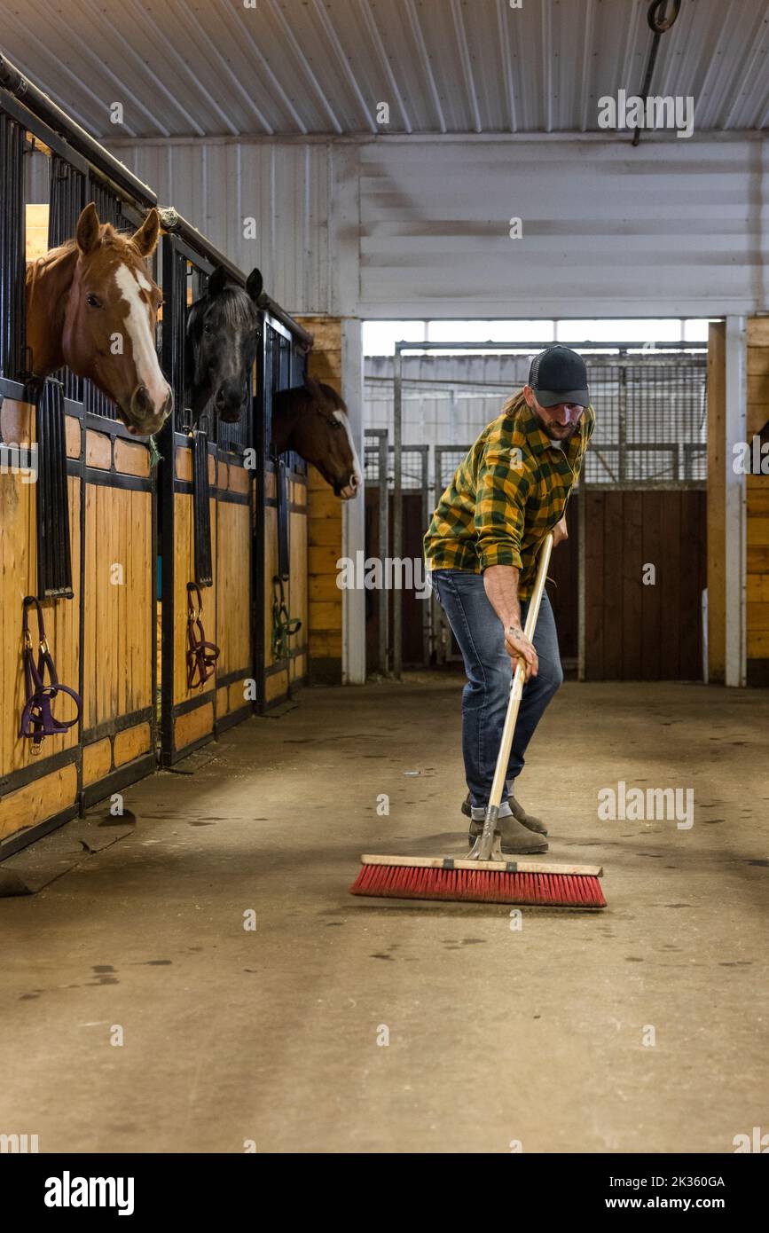 Working at a stable hi-res stock photography and images - Alamy