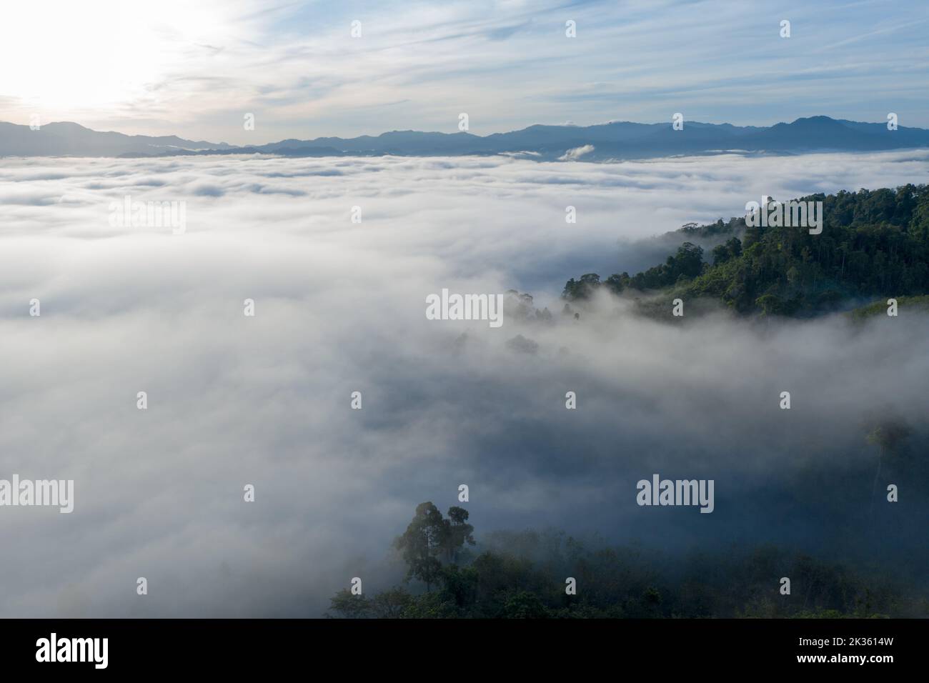 aerial view scenery sunrise above the mountain in tropical rainforest ...