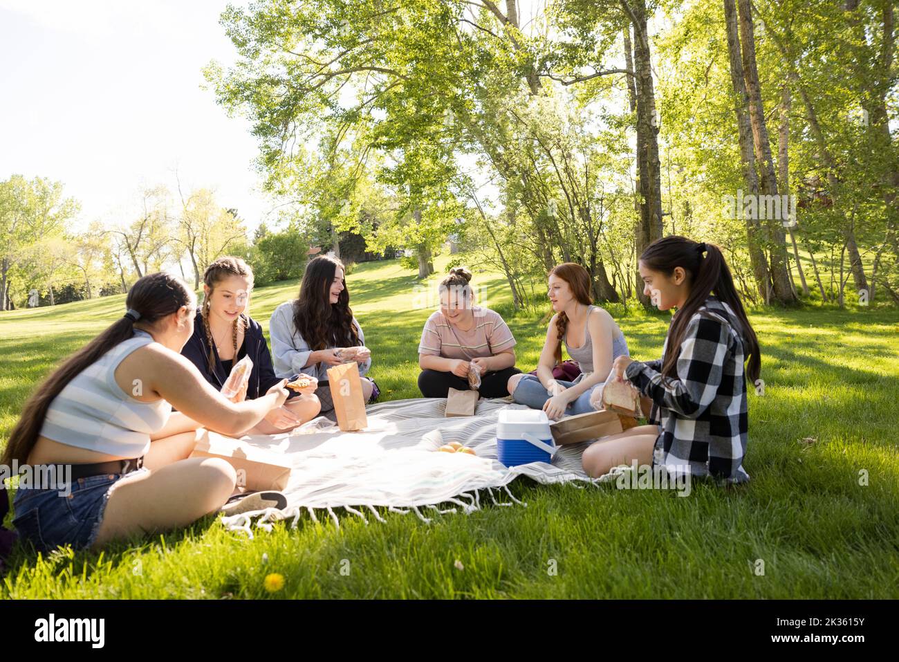 Group picnic in the park hi-res stock photography and images - Alamy