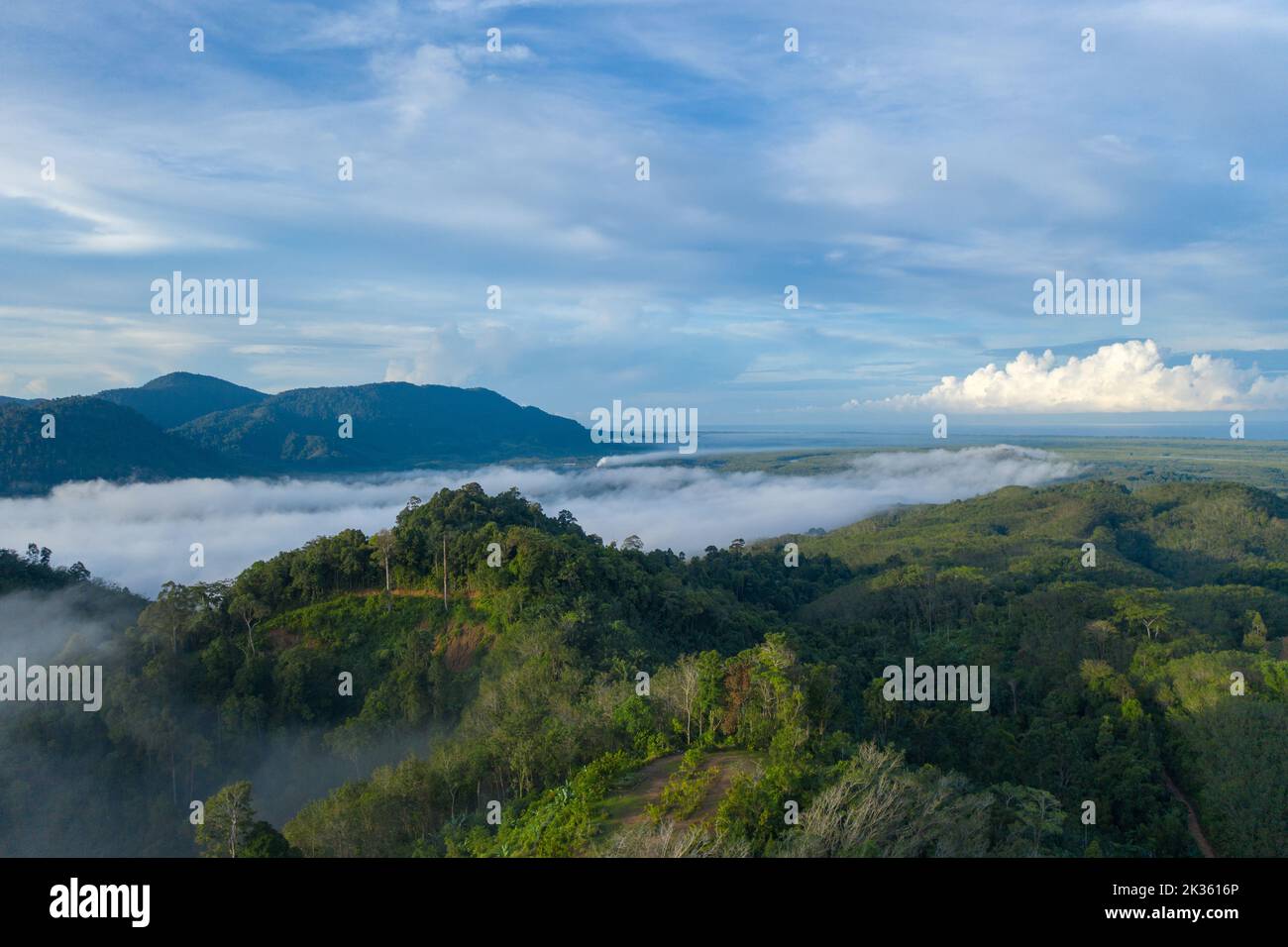 aerial view scenery sunrise above the mountain in tropical rainforest ...