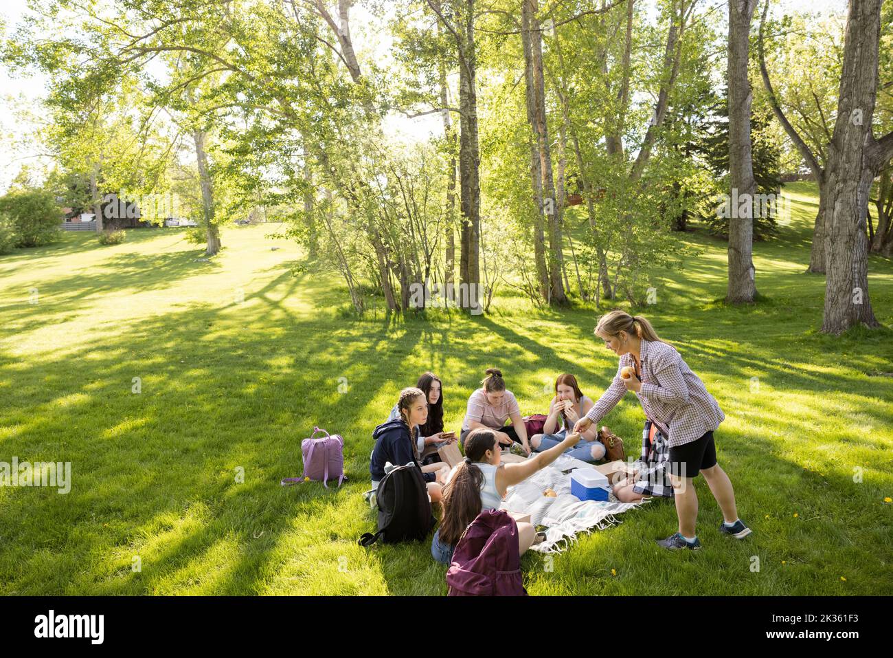Group picnic in the park hi-res stock photography and images - Alamy