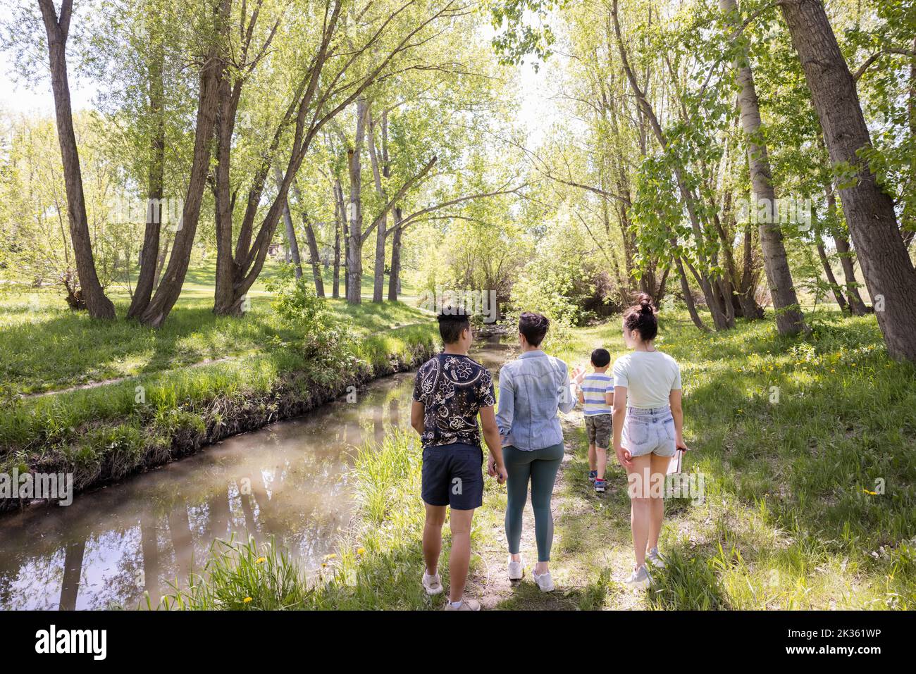 Rear view brother sister walking hi-res stock photography and images ...