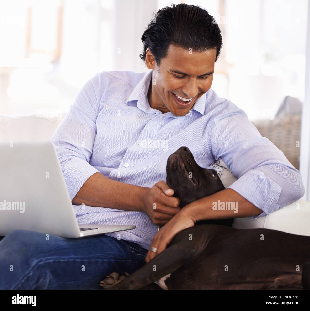 Handsome animal hi-res stock photography and images - Alamy