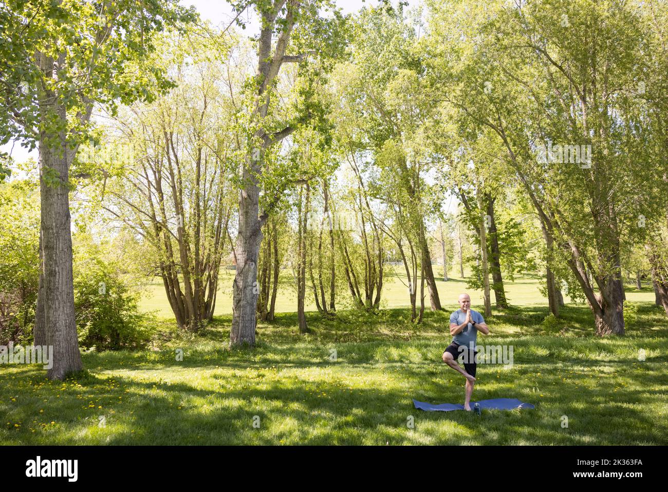 Yoga tree pose man hi-res stock photography and images - Alamy