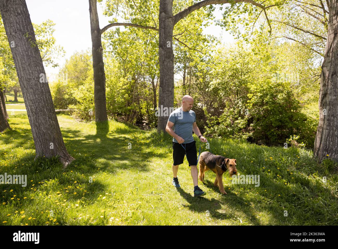 Taking the dog in hi-res stock photography and images - Alamy