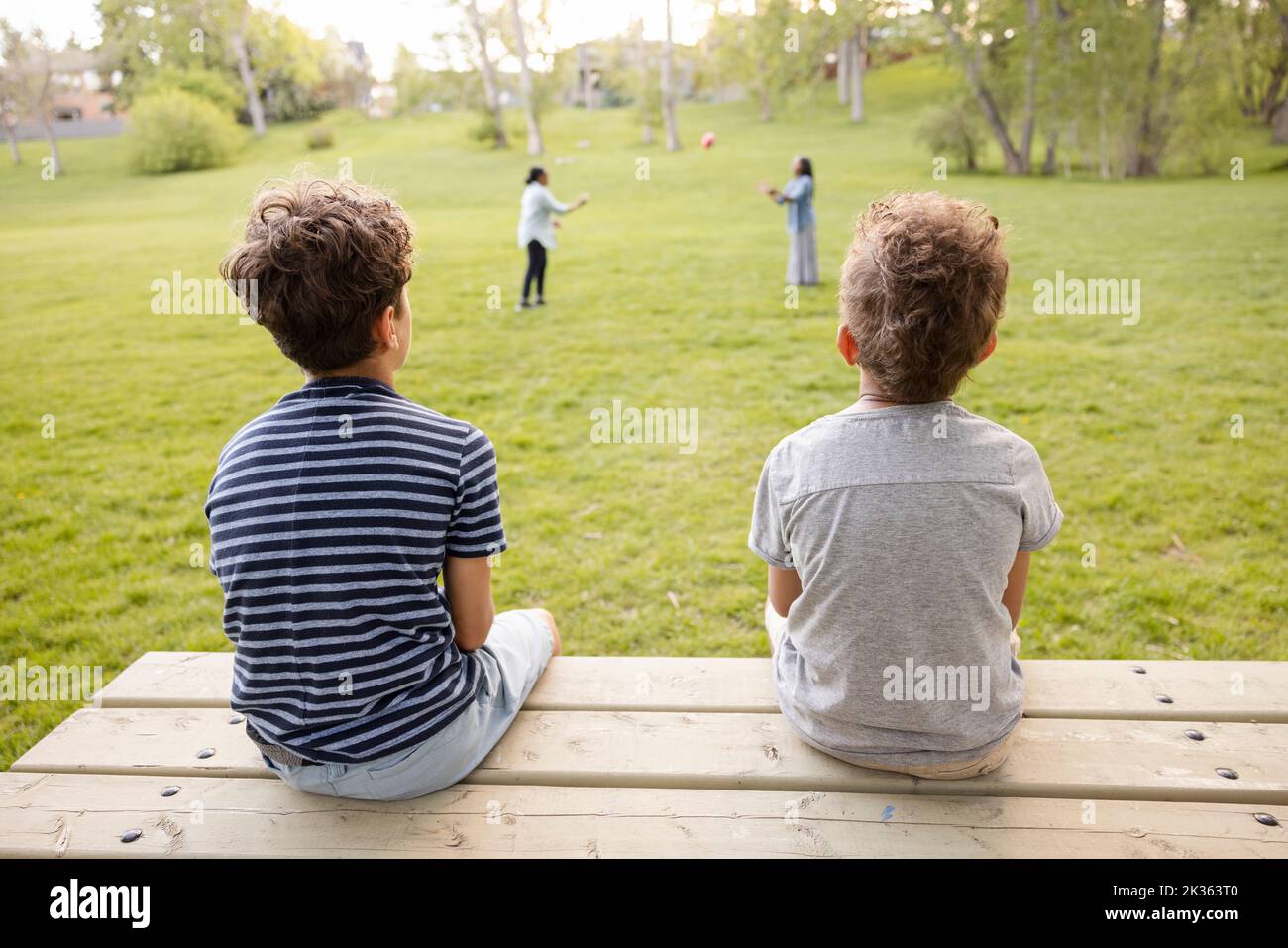 Rear view of brothers sitting on table, watching family play ball Stock ...