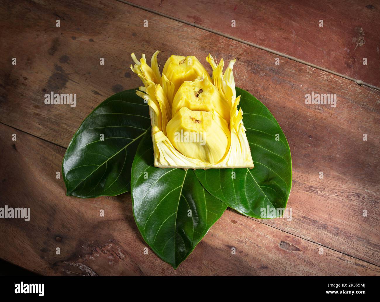 Healthy jackfruit seeds hi-res stock photography and images - Alamy