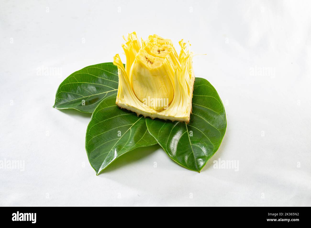 Single core of jackfruit displayed on jackfruit leave on white ...