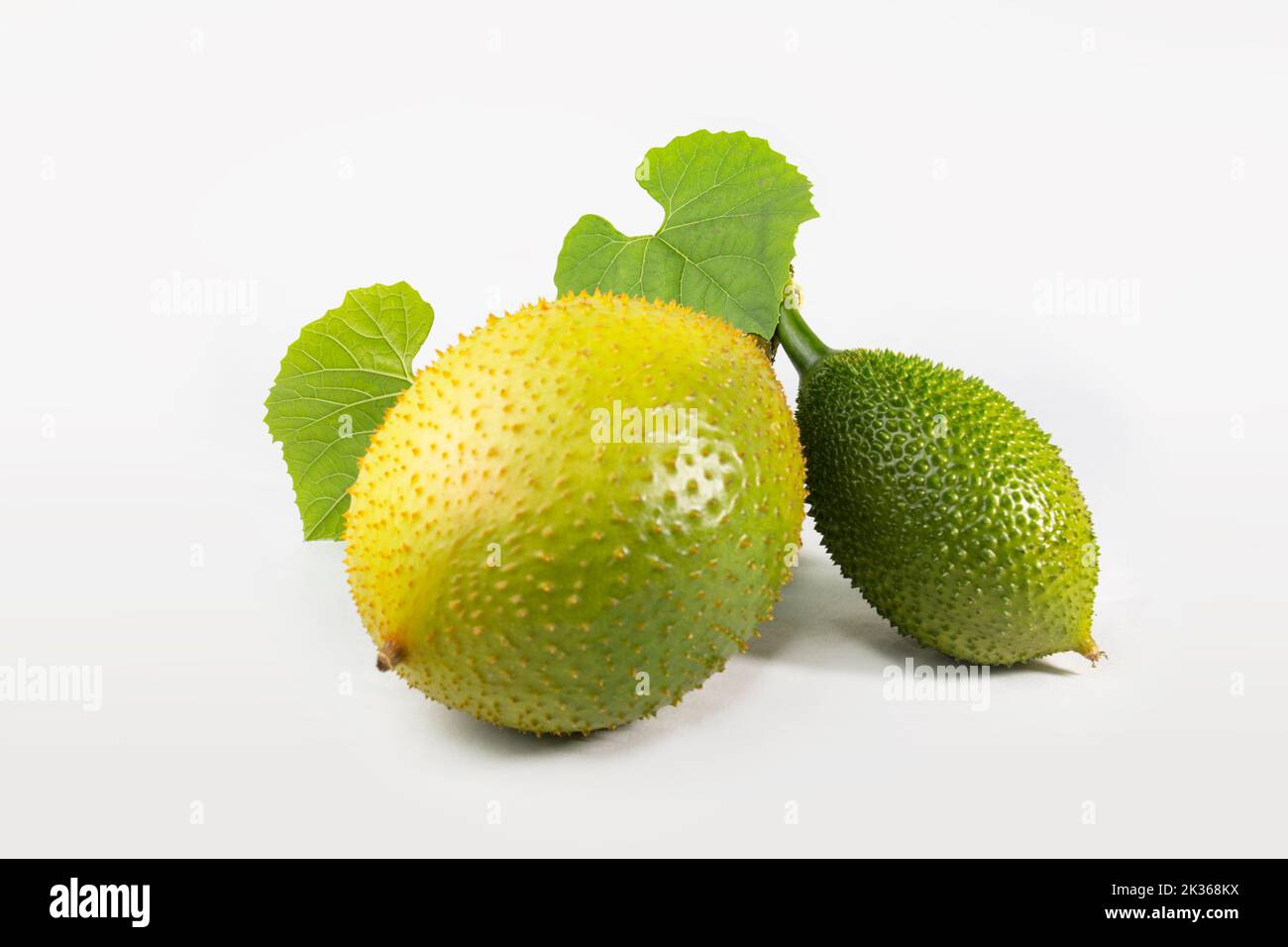 Spiny Bitter Gourd, Sweet Gourd or Cochinchin Gourd on white background ...