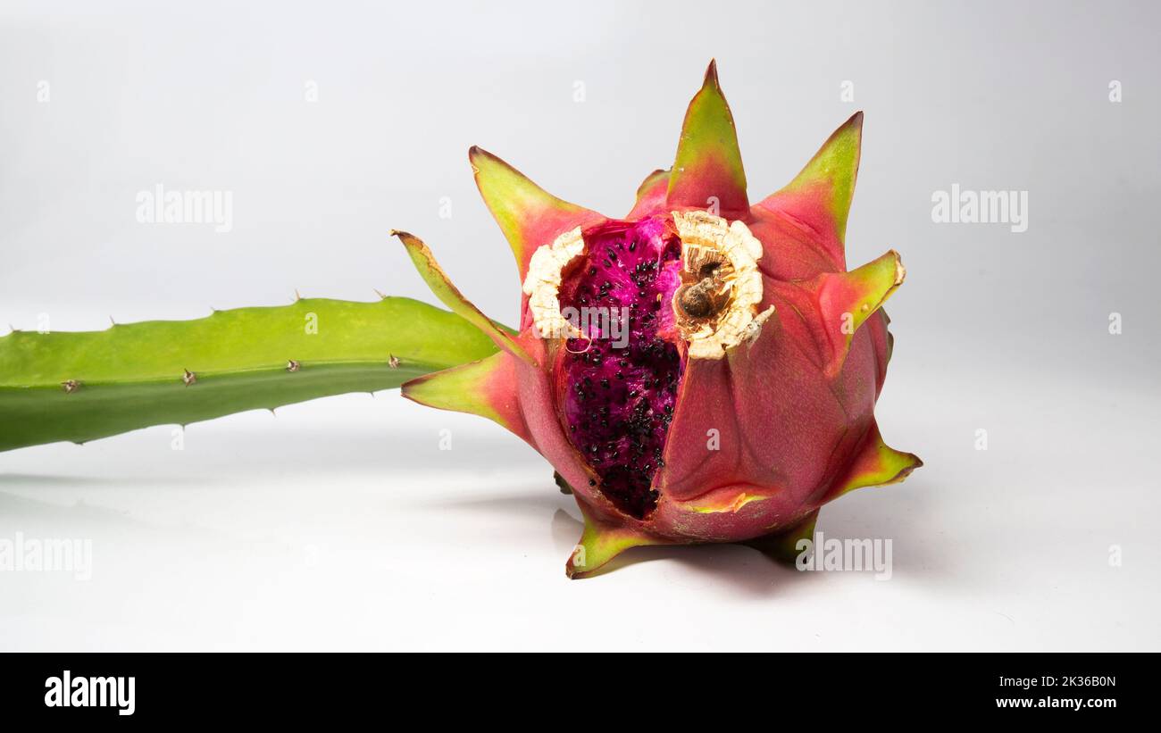 cracked Dragon fruit on white background. ripe pitaya fruit skin in ...