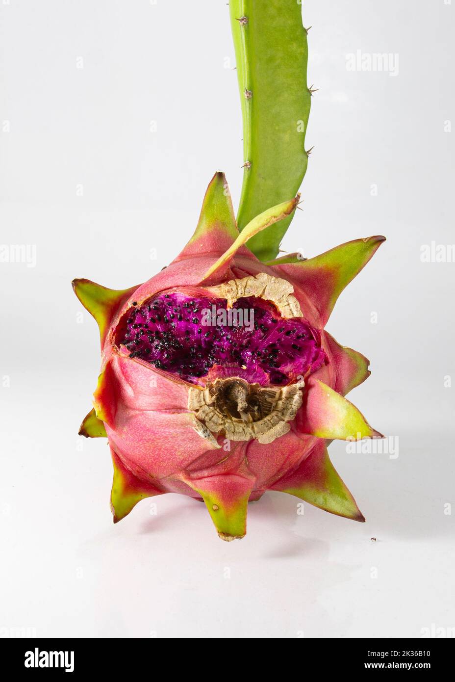 cracked Dragon fruit on white background. ripe pitaya fruit skin in ...